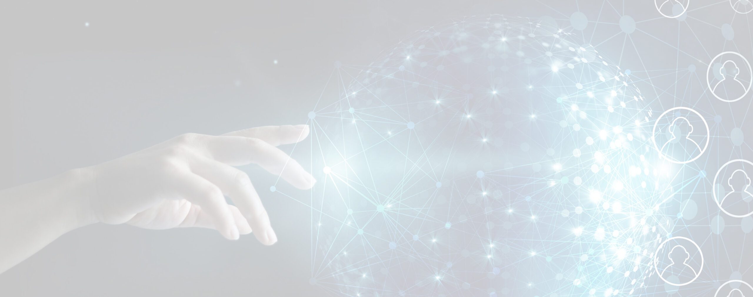 Transport Management System | TMS Logistics Company